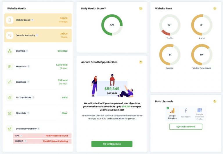 Diib Review - Backlink Me